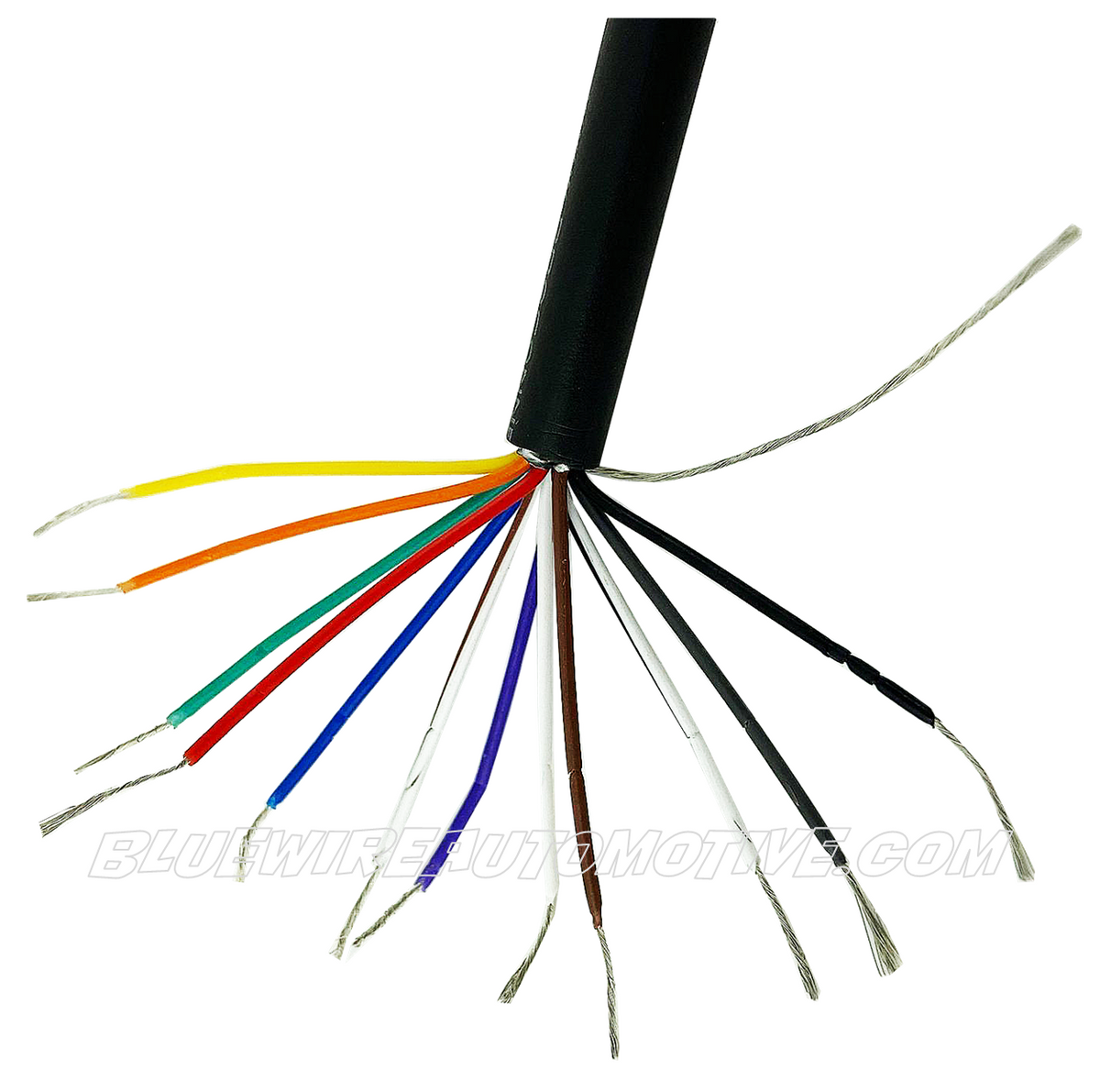 STEERING WHEEL CURLY CABLE-12 CORE-BWABSW0024| Bluewire Automotive