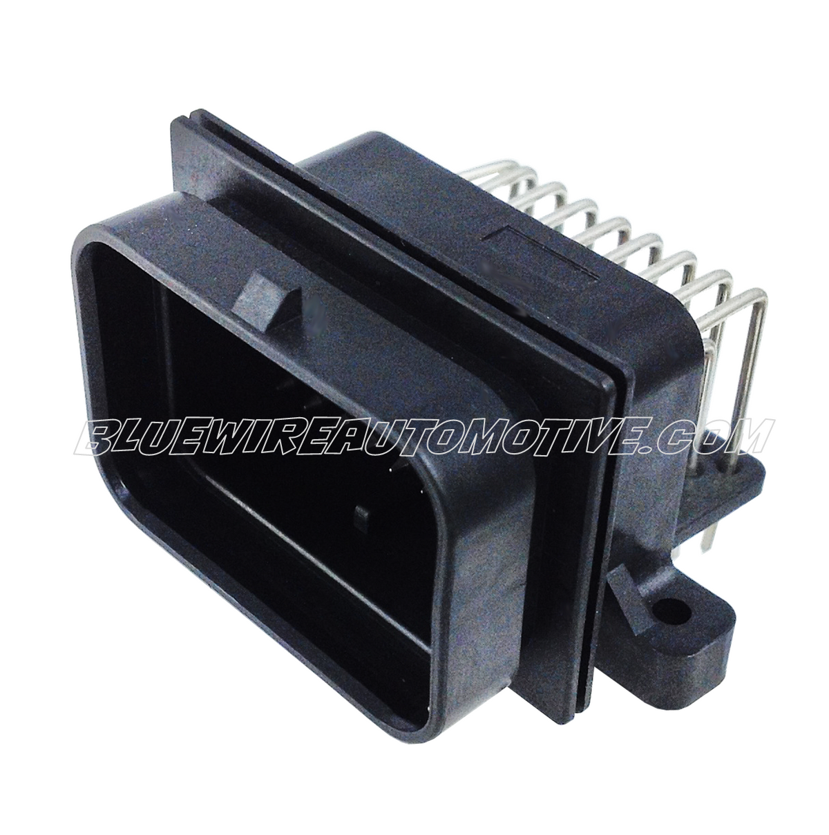 PLUGS-ECU| Bluewire Automotive