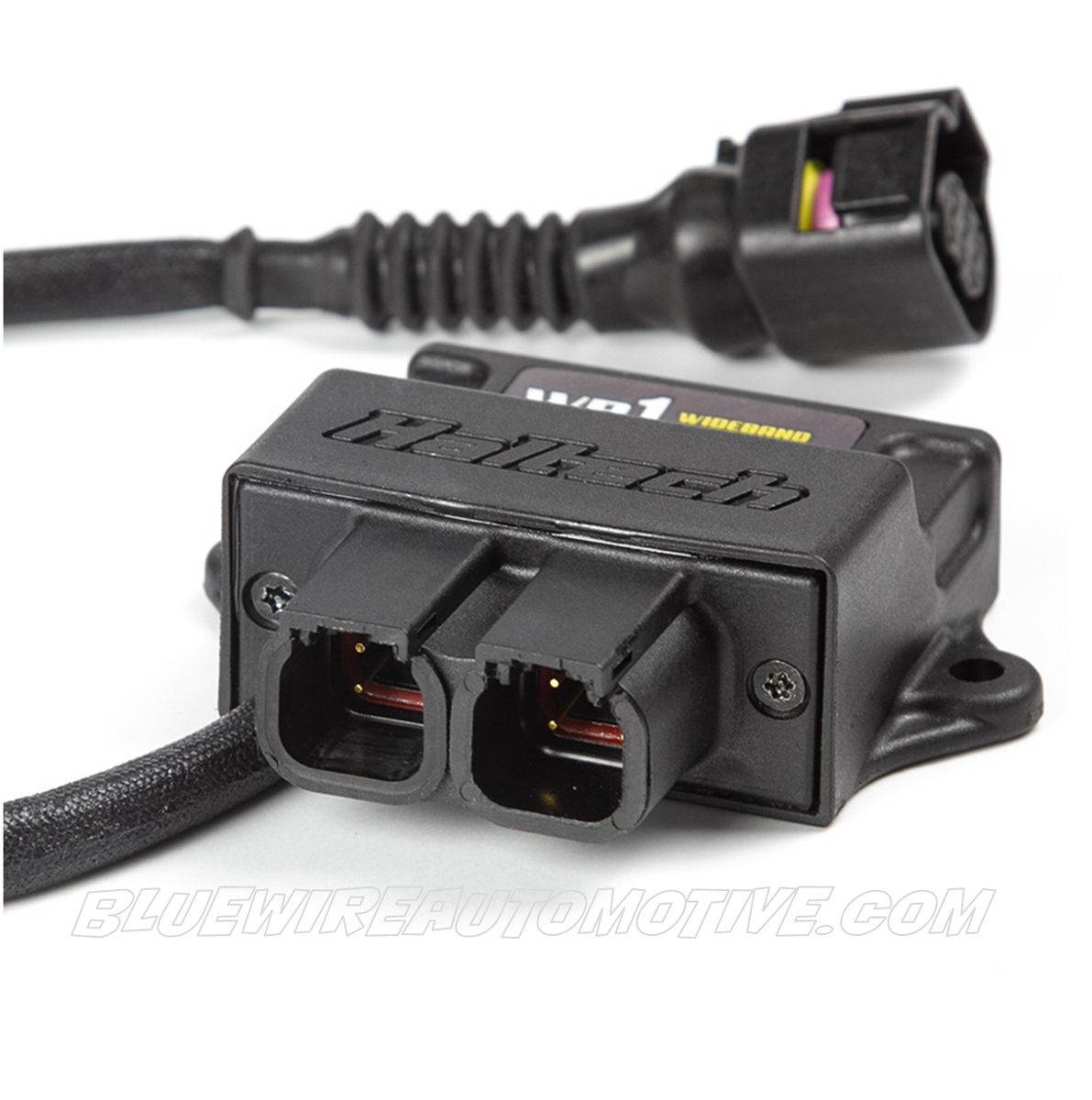 HALTECH WB1-SINGLE CHANNEL CAN O2 WIDEBAND CONTROLLER KIT - BWAHT-1599 ...