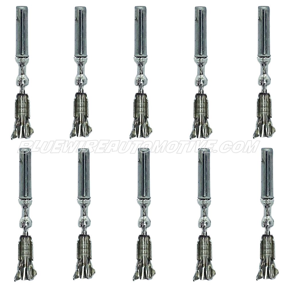 10 x LS1 PCM ECM ECU TERMINALS-BWAT0011| Bluewire Automotive