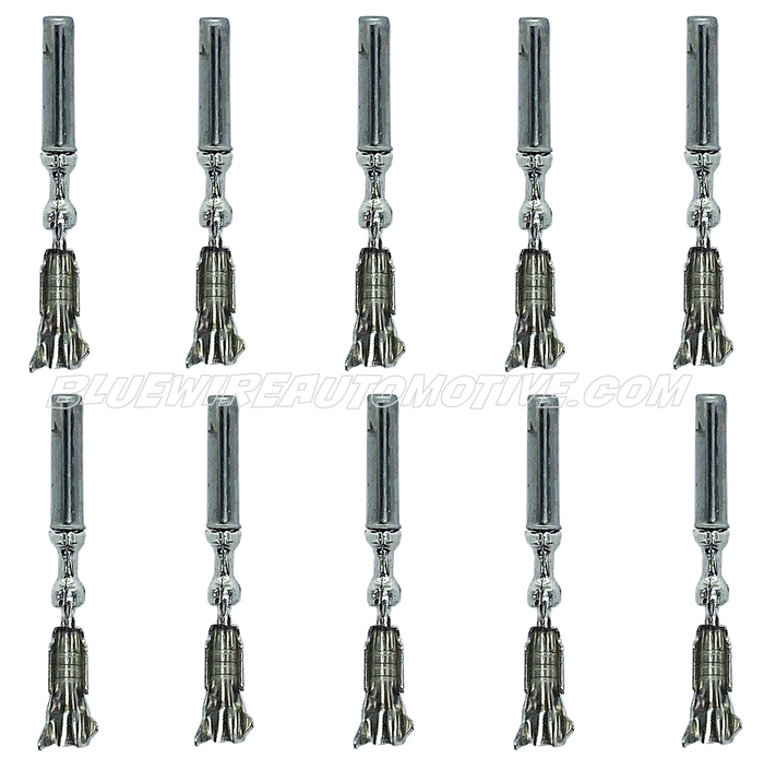 10 x LS1 PCM ECM ECU TERMINALS-BWAT0011| Bluewire Automotive