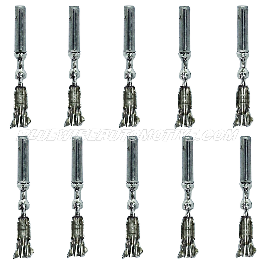 10 x LS1 PCM ECM ECU TERMINALS-BWAT0011| Bluewire Automotive